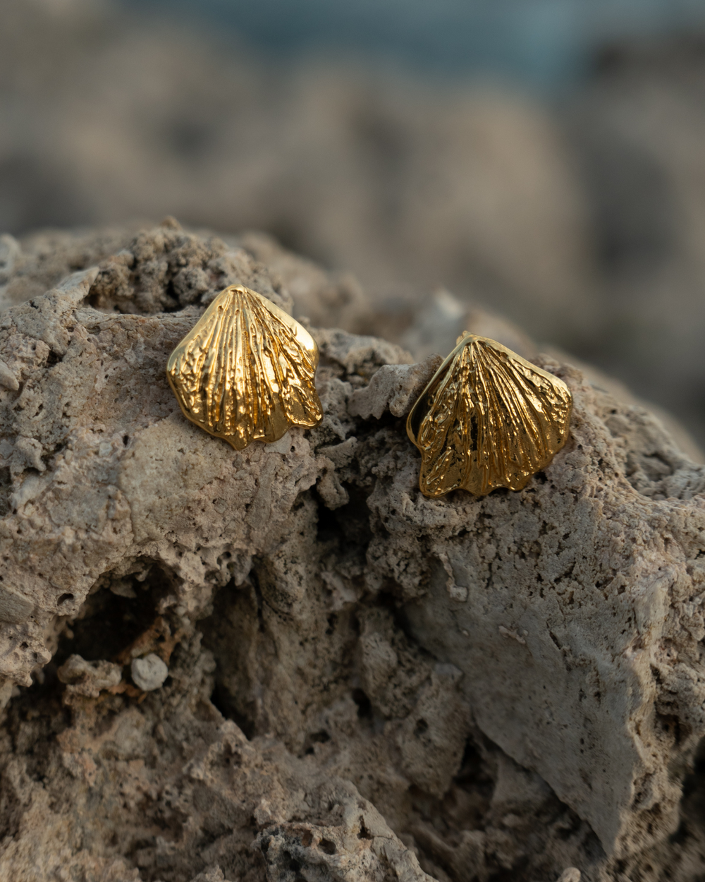 Cap du Aureum – Aureum Collective