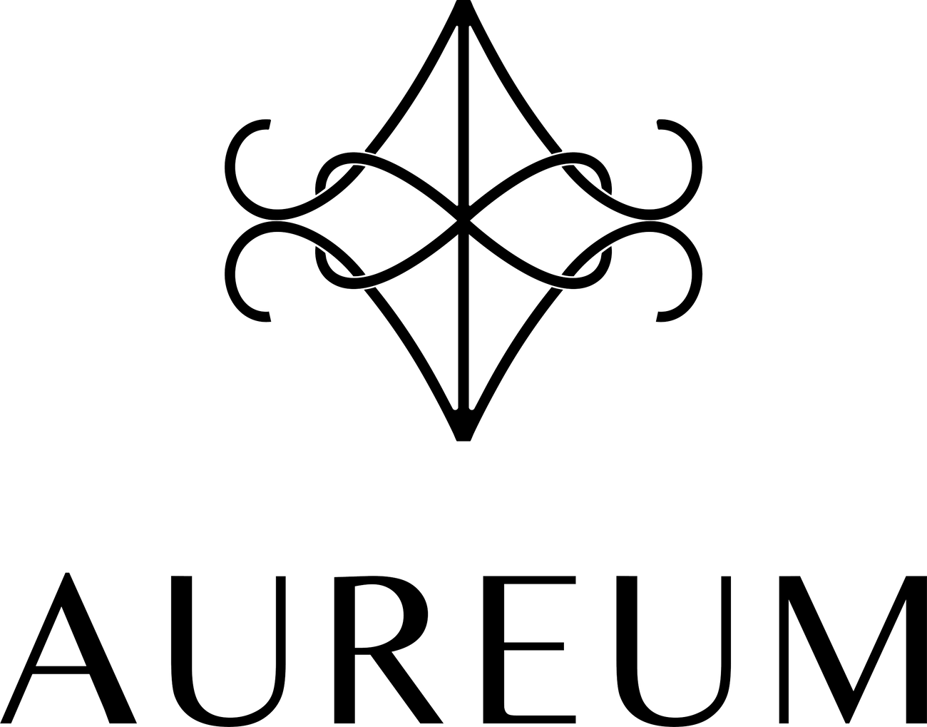 No. 2 | Aureum Collective